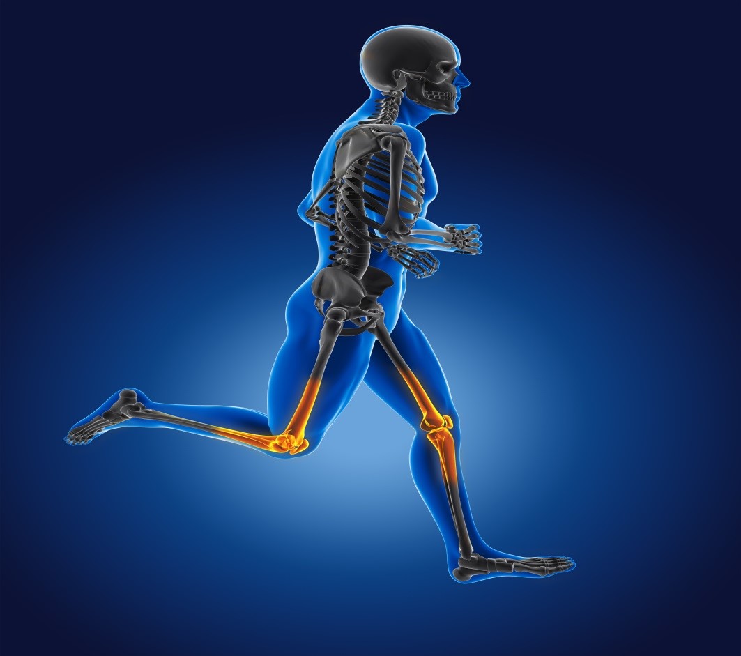 6 Essential Tips You Need To Know For Maintaining Strong Bones As You ...